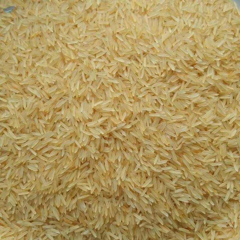 Buy & Import 1509 Golden Sella (Parboiled) Basmati Rice Wholesale ...