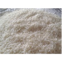 Buy & Import Ir 36 Rice Wholesale - Sold by N23 International, India