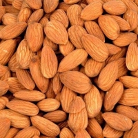 Buy & Import Roasted Almond Wholesale - Sold by Agri Solutions ...