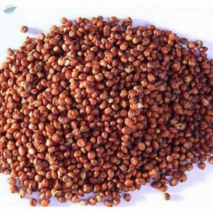 Buy & Import Red Sorghum Wholesale - Sold by SNI Commerce, Bulgaria