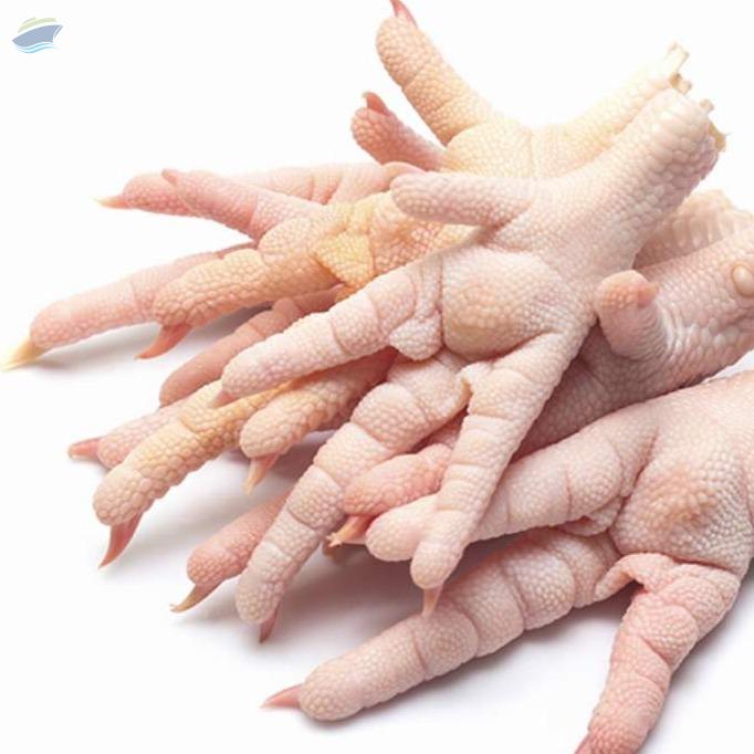 Buy & Import Frozen Chicken Feet/paws Wholesale - Sold by Moha Exports ...