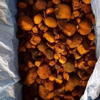 Buy & Import Cow, Ox Gall Stones Wholesale - Sold by Soupin Jean ...