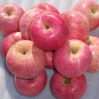 Buy & Import Jonagored Apples Wholesale - Sold by Soupin Jean Stephane ...