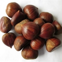 Buy & Import Bulk Chestnuts Wholesale - Sold by Soupin Jean Stephane ...