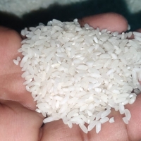 Buy & Import 25% Broken Raw Rice Long Grains Wholesale - Sold by Maa ...
