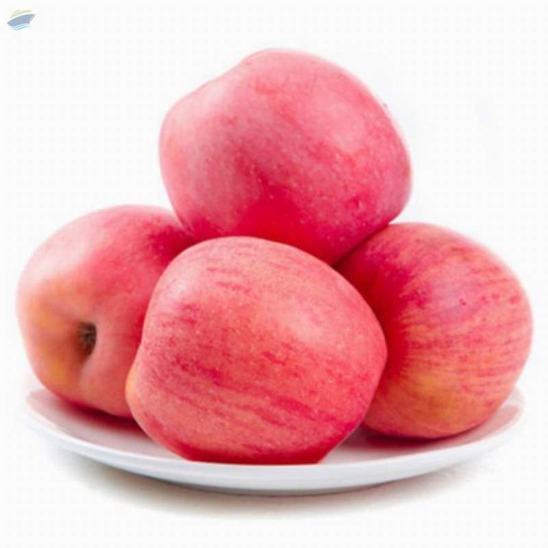 Buy Wholesale Red Sweet Fuji - Gala Apple Online from Suppliers ...
