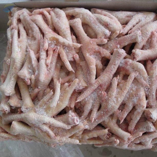 Buy & Import Grade A Frozen Chicken Paws Wholesale - Sold by Guanxi ...