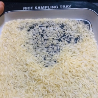 Buy & Import 1121 Steam Basmati Rice Wholesale - Sold by Khan Rice ...