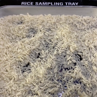 Buy & Import Pk 386 Long Grain Rice Wholesale - Sold by Khan Rice Mills ...