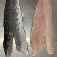 Buy Wholesale Snakehead Fillet Online from Suppliers & Exporters in ...