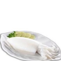 Buy & Import Cuttlefish Whole Clean Wholesale - Sold by Aljunaid ...