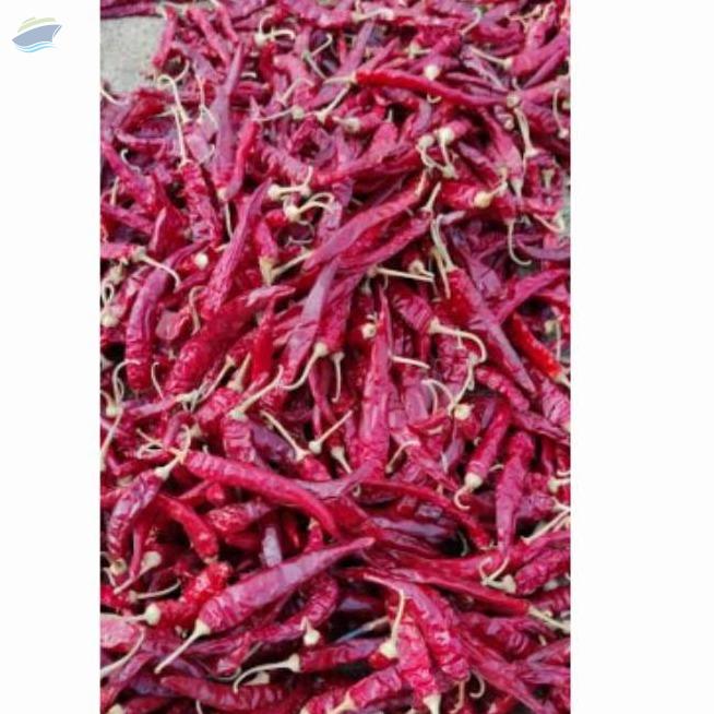 Red Chilli / Long exporter and supplier from India