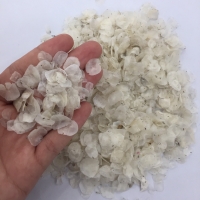 Buy & Import Dried Fish Scale High Quality Wholesale - Sold by 99 Gold ...