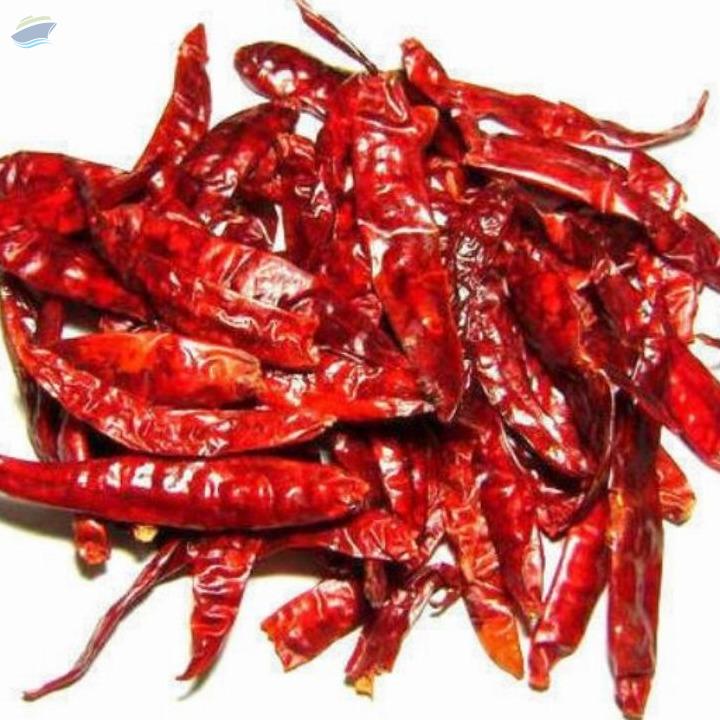 Buy & Import Dry Red Chilli Wholesale - Sold by MTR Export Import, India