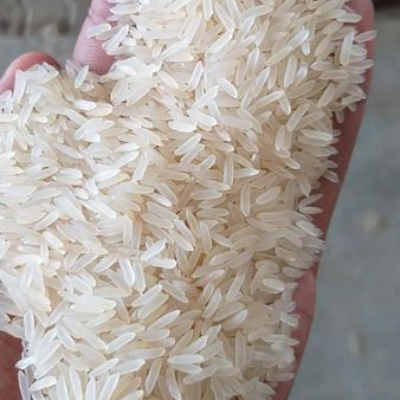 Buy & Import 1121 Extra Long Grain Rice Wholesale - Sold by Credit ...