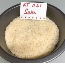 Buy Wholesale 1121 Parboiled Golden Sella Rice Online from Suppliers & Exporters in Pakistan