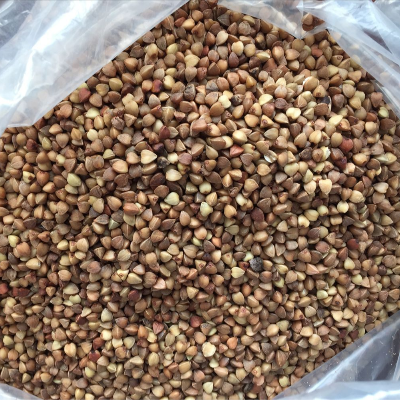 Buy & Import BUCK WHEAT grain roasted buckwheat kernel Wholesale - Sold ...