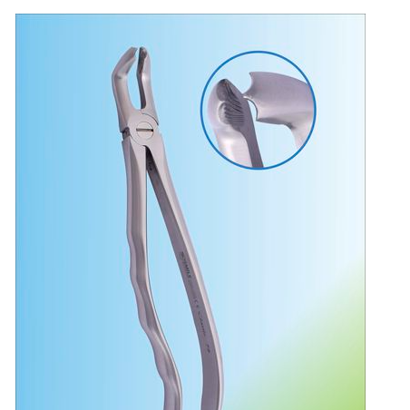 Buy & Import Tooth extraction forceps anatomical handle Wholesale ...