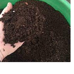 Buy & Import Compost Wholesale - Sold by S2F IMEX LLP, India