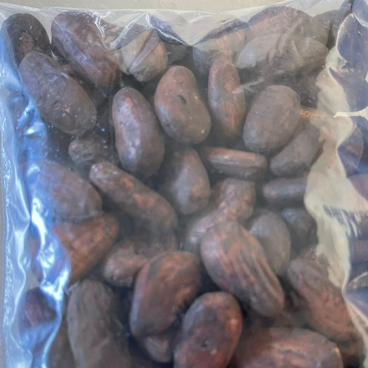 Buy & Import Cacao Beans Wholesale - Sold by Subana Dış Ticaret Ltd ...