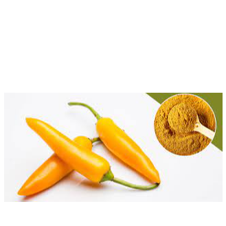 Buy PILI MIRCHs Online from Exporters, Sellers and Suppliers in India