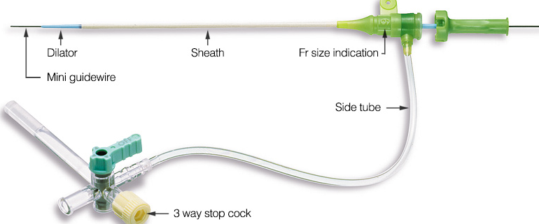 Buy & Import Terumo Radifocus Introducer II Transradial Kit 4Fr 0.021â ...