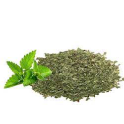 Buy & Import MINT FLAKES Wholesale - Sold by KAPADIYA EXPO COMPANY, India