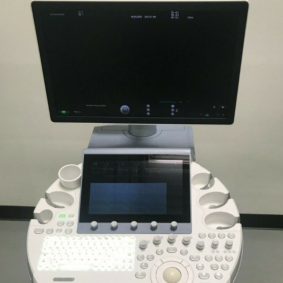 Buy & Import Used GE Voluson E10 Ultrasound BT19/20/21 With 3 Probes Wholesale - Sold by ...