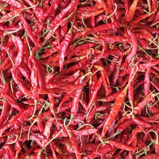 Buy & Import Red Chilli Wholesale - Sold by KKOLI INTERNATIONAL PRIVATE ...