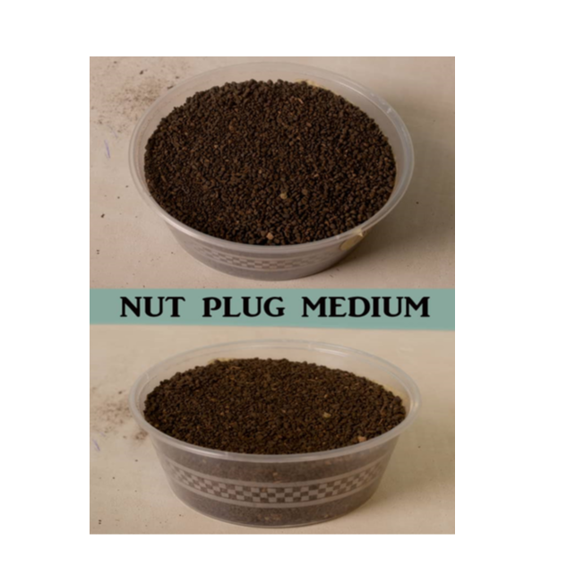 Nut Plug Medium exporter and supplier from Nigeria